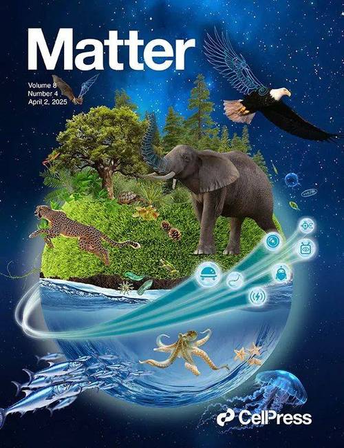 matter的最新进展图标